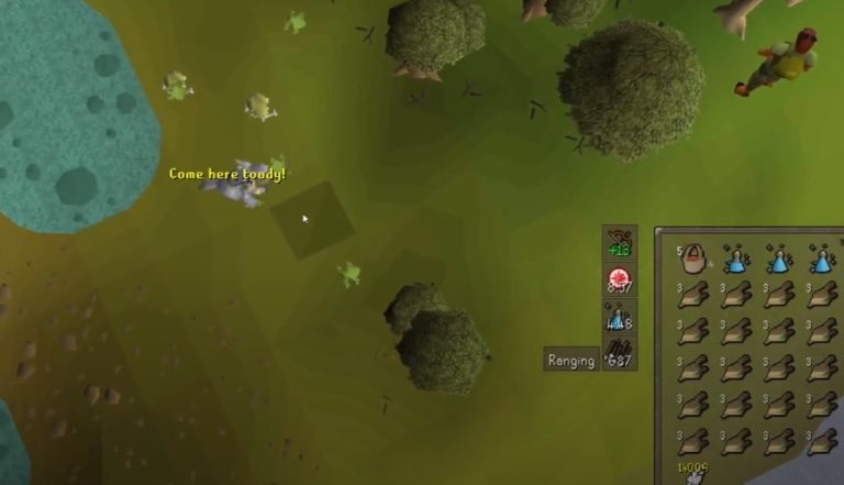 OSRS Chompy Bird Hunting Elite Void Guide - NovaMMO