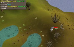 OSRS Chompy Bird Hunting Elite Void Guide - NovaMMO